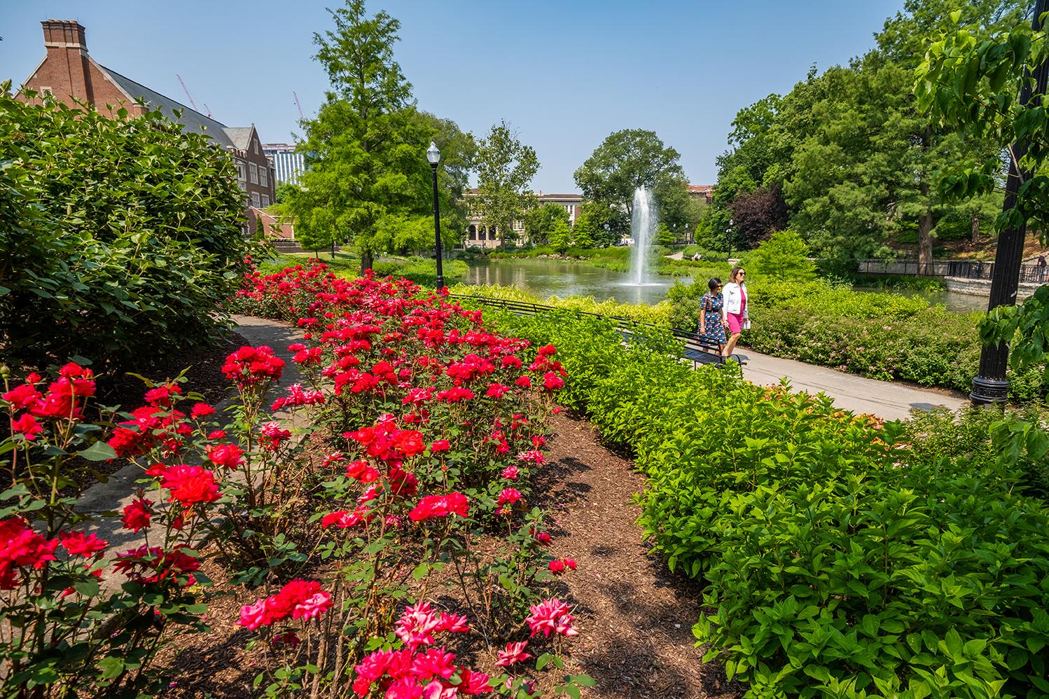 Staff | The Ohio State University